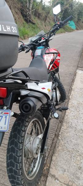 Freedom, Hercules, 2021