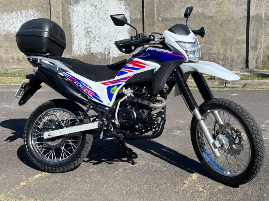 Freedom, Hercules, 2023