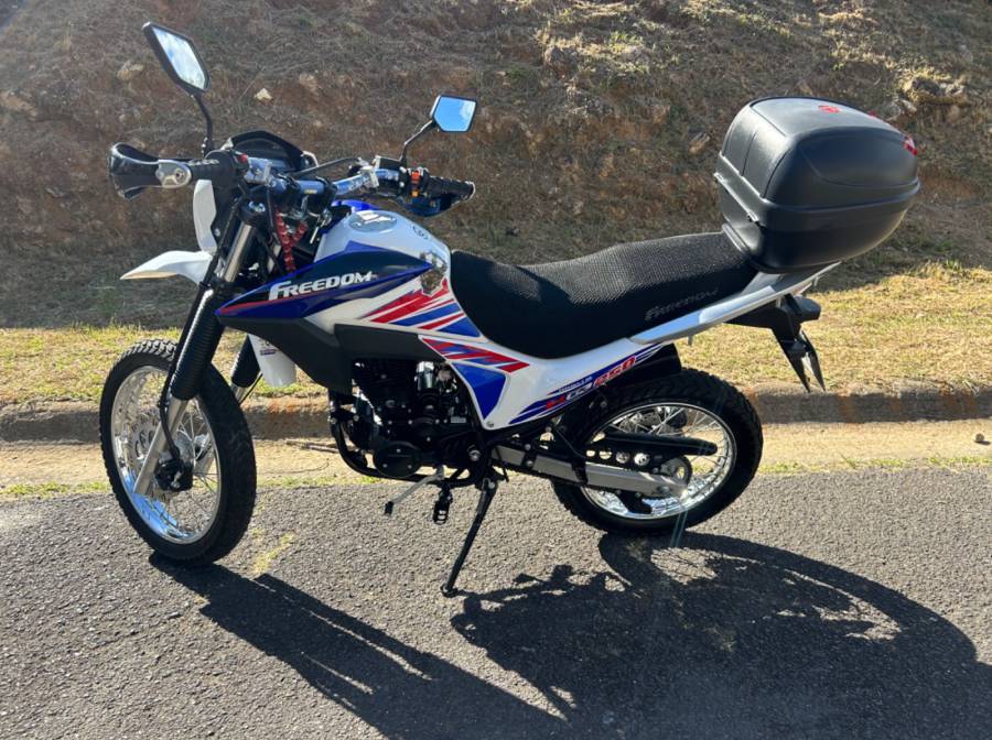 Freedom, Hercules, 2023