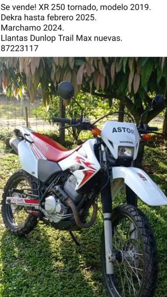 Honda, XR Tornado , 2019