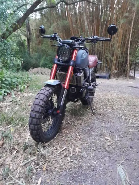 RAMBike, Racer 300, 2025