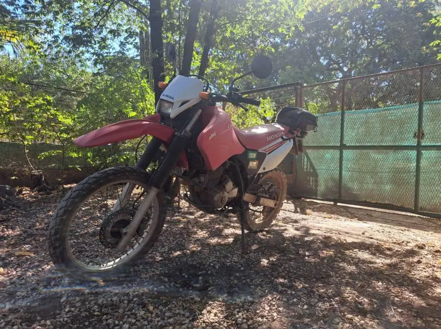 Honda, Tornado , 2021