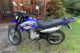 Freedom, Hercules, 2021