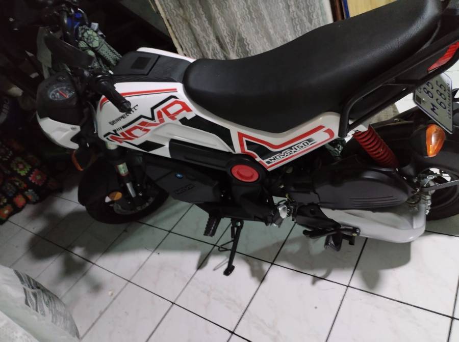 Serpento, Nova , 2024