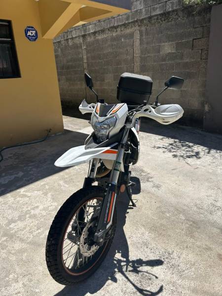 Serpento, YARA, 2023