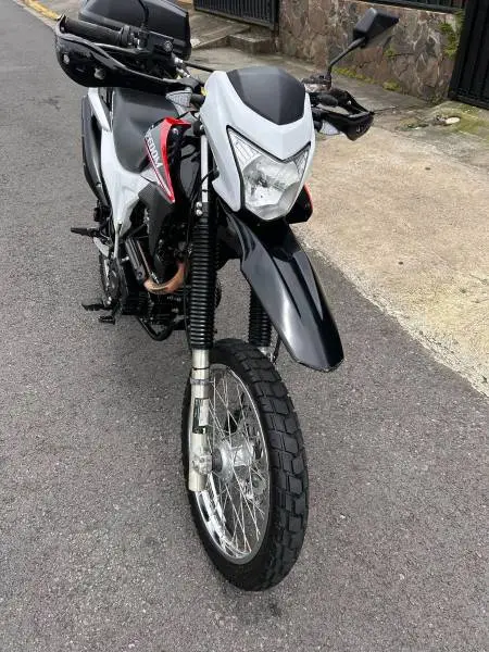 Freedom, Hr250, 2019