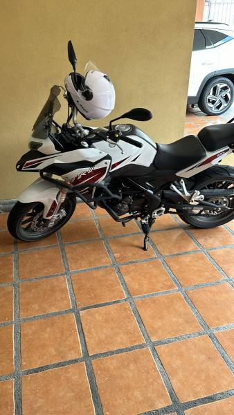Benelli, Trk251, 2019
