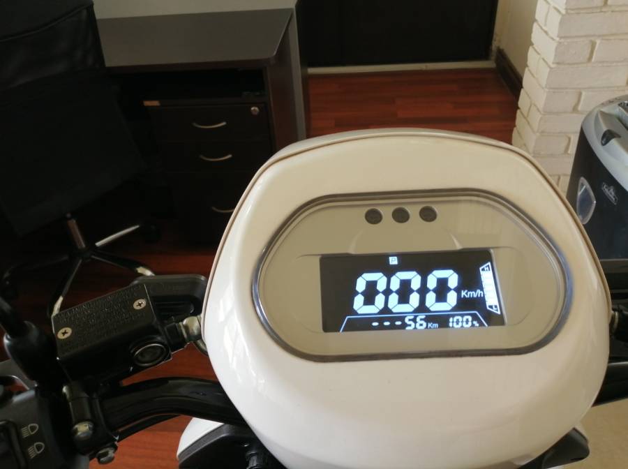 Freedom, Switch , 2023