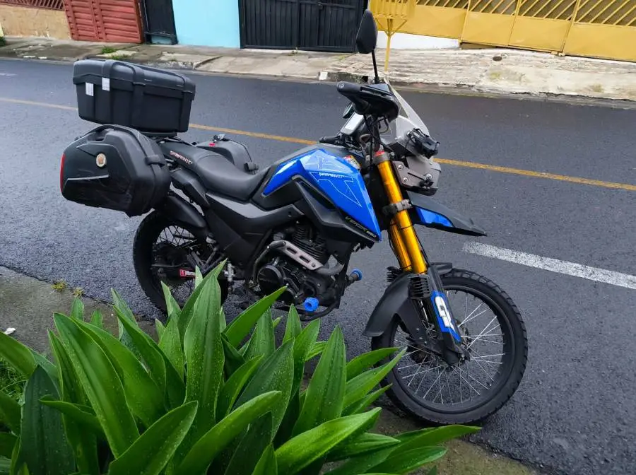 Serpento, Viper 250, 2022