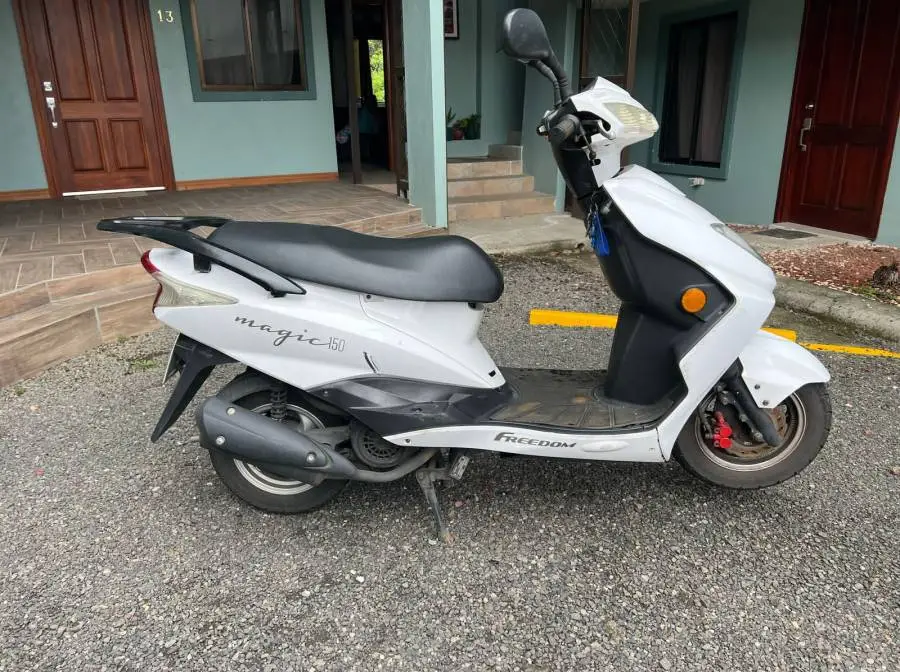 Freedom, Magic, 2017