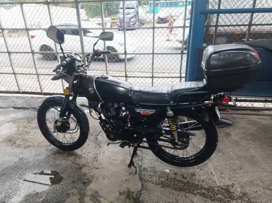 Serpento, Taypan, 2021