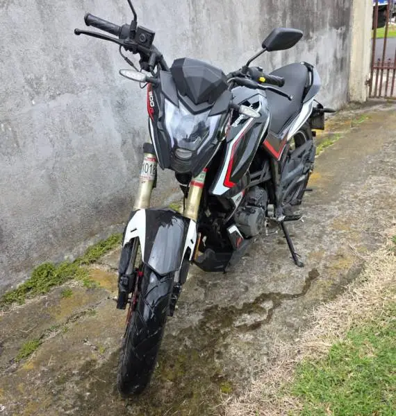 Serpento, Naga R, 2023