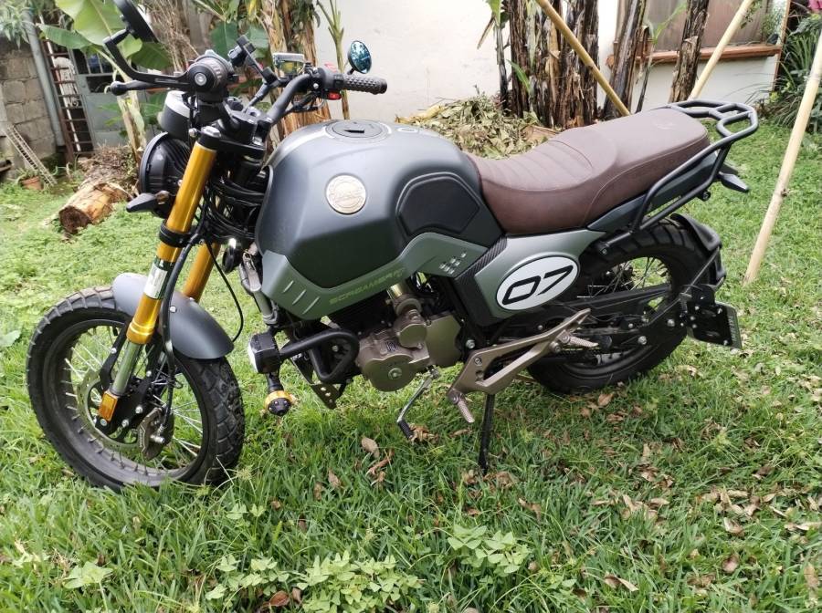 Vento, Screamer, 2024