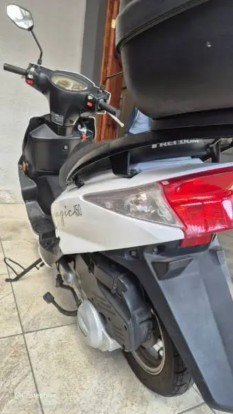 Freedom, Magic, 2019