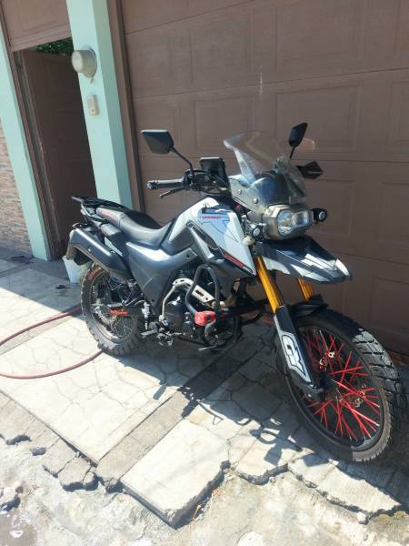 Serpento, Viper, 2022