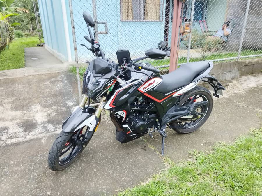 Serpento, Naga, 2023