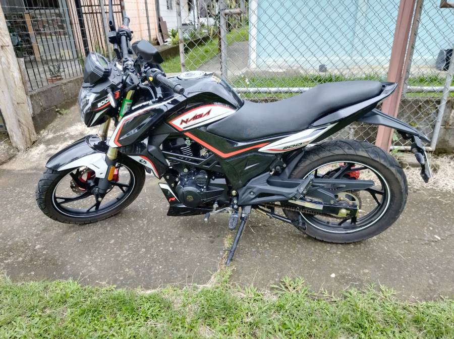 Serpento, Naga, 2023