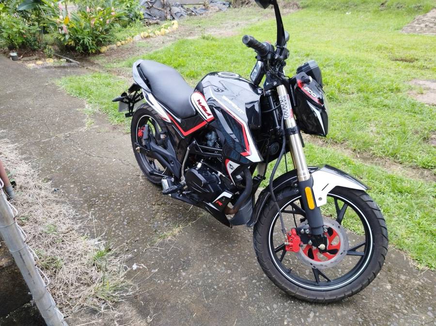 Serpento, Naga, 2023