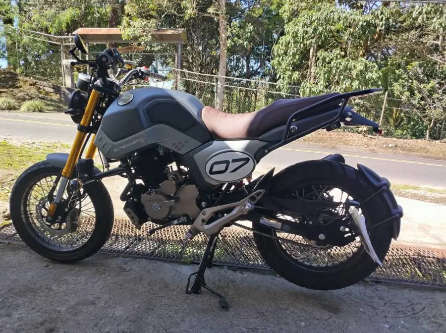 Vento, Screamer, 2024