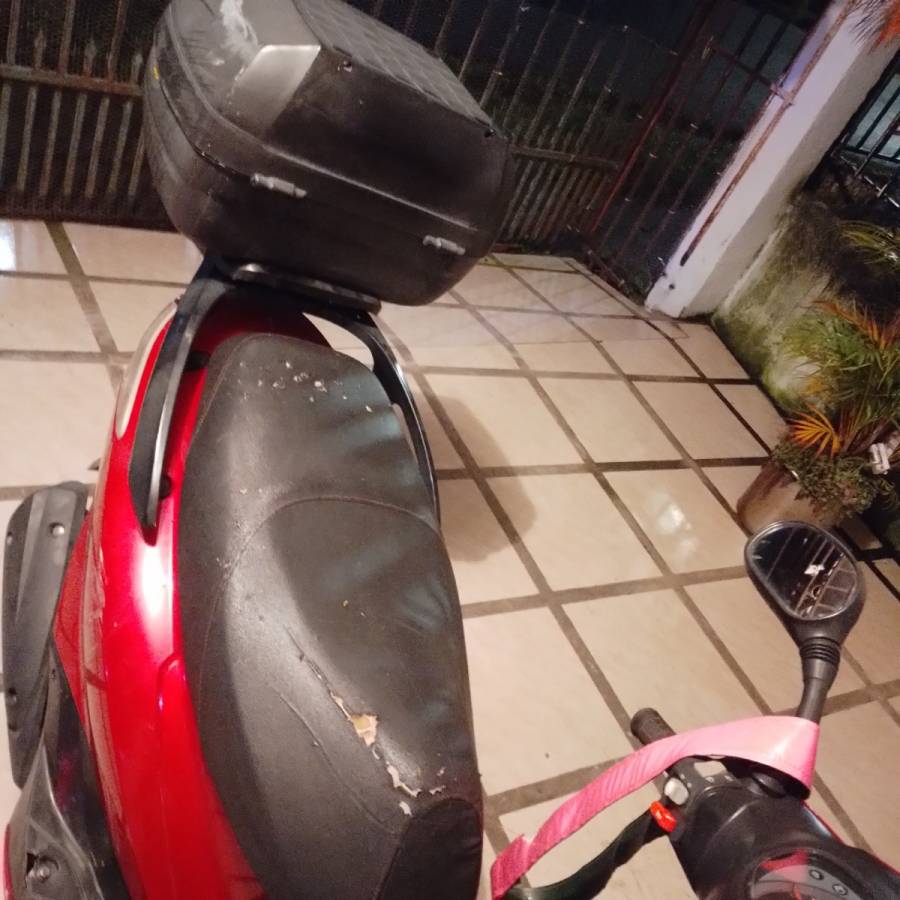 Freedom, Magic , 2019