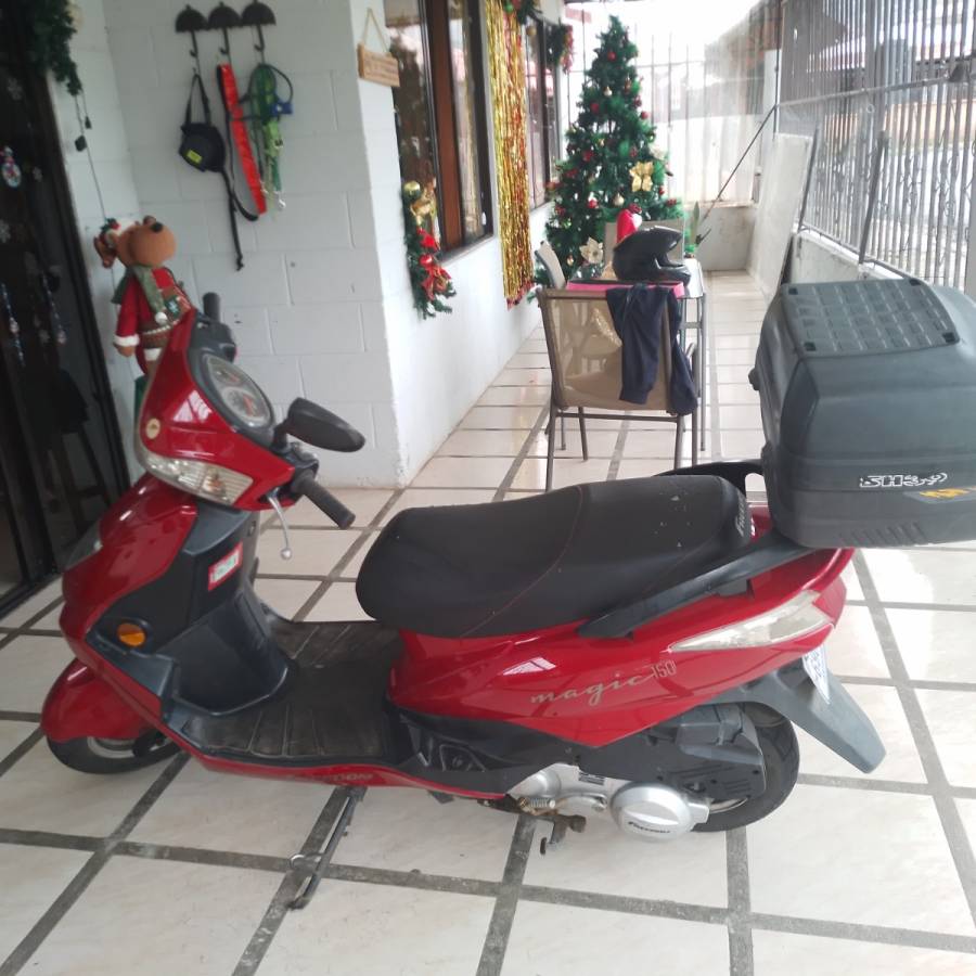 Freedom, Magic , 2019