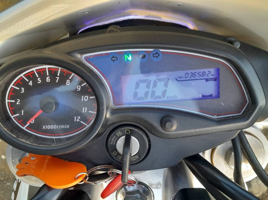 Freedom, Hercules , 2022