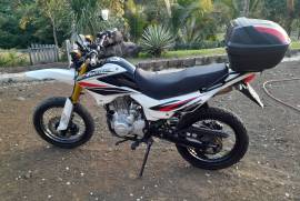 Freedom, Hercules , 2022