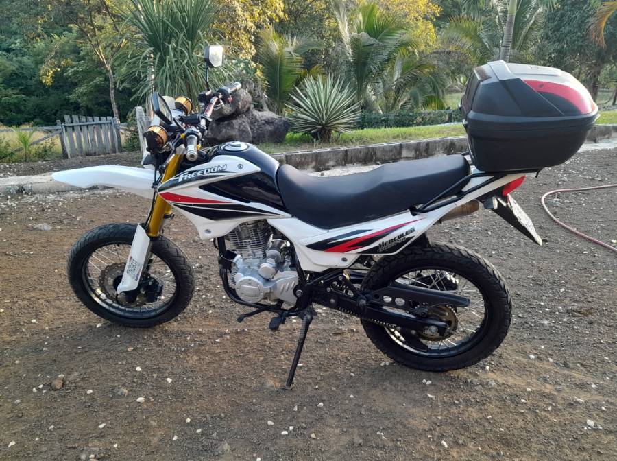 Freedom, Hercules , 2022