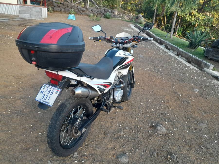 Freedom, Hercules , 2022