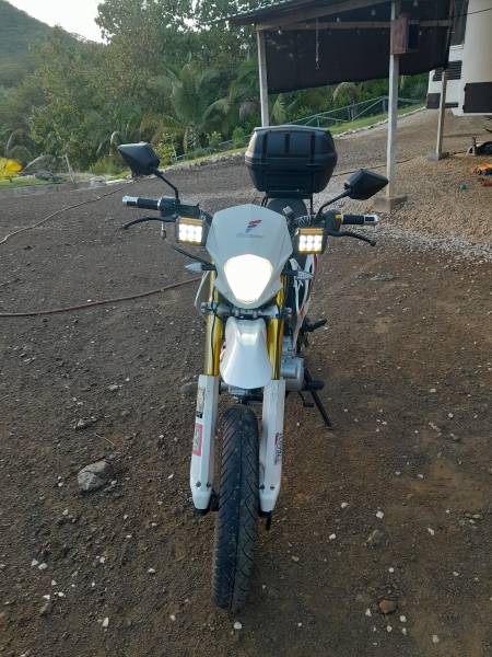 Freedom, Hercules , 2022