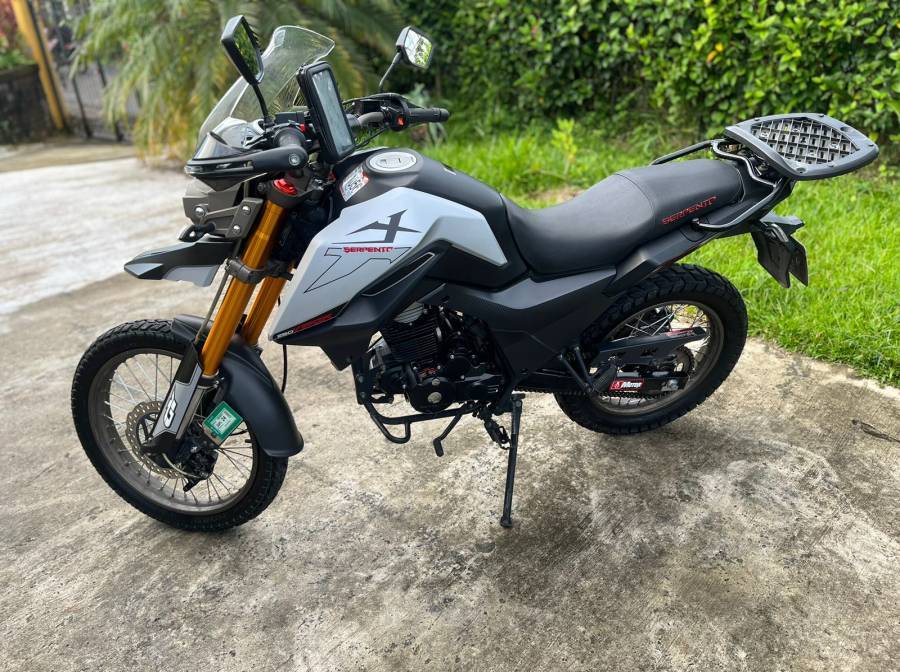 Serpento, Viper , 2022