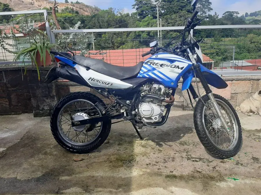 Freedom, Hercules , 2024