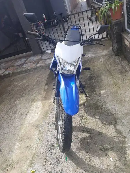 Freedom, Hercules , 2024